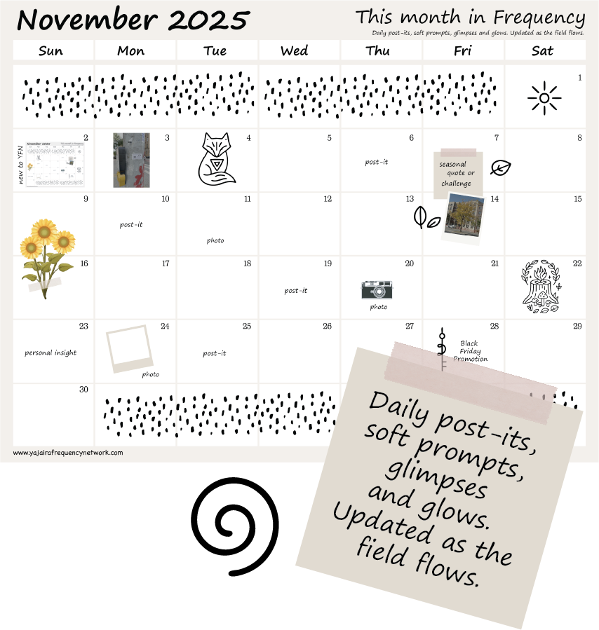 This Month in Frequency: November 2025